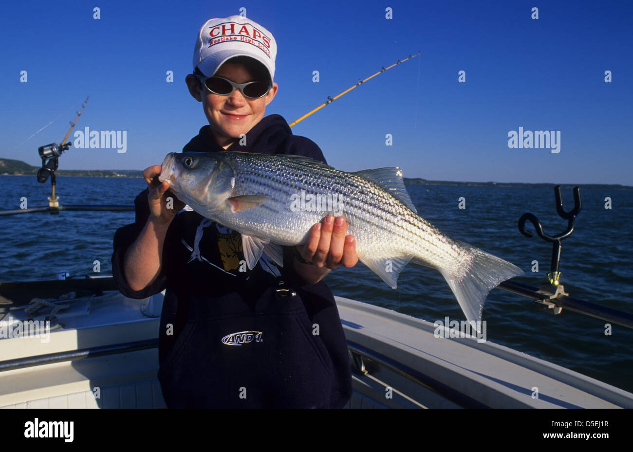 Young boy holding a freshwater striped bass (Morone saxatilis) from ...