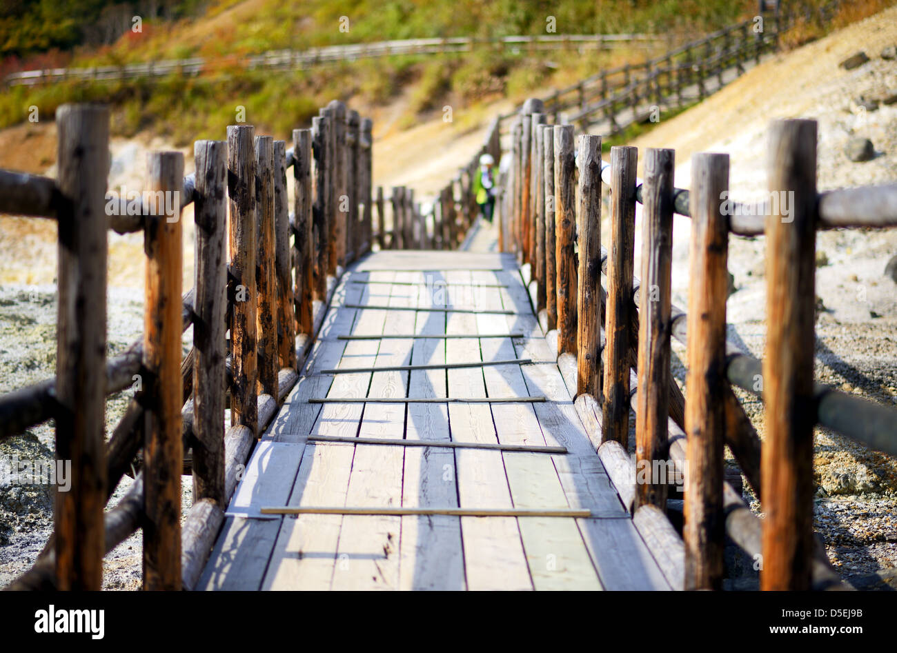 Wooden elevated boardwalk hi-res stock photography and images - Alamy