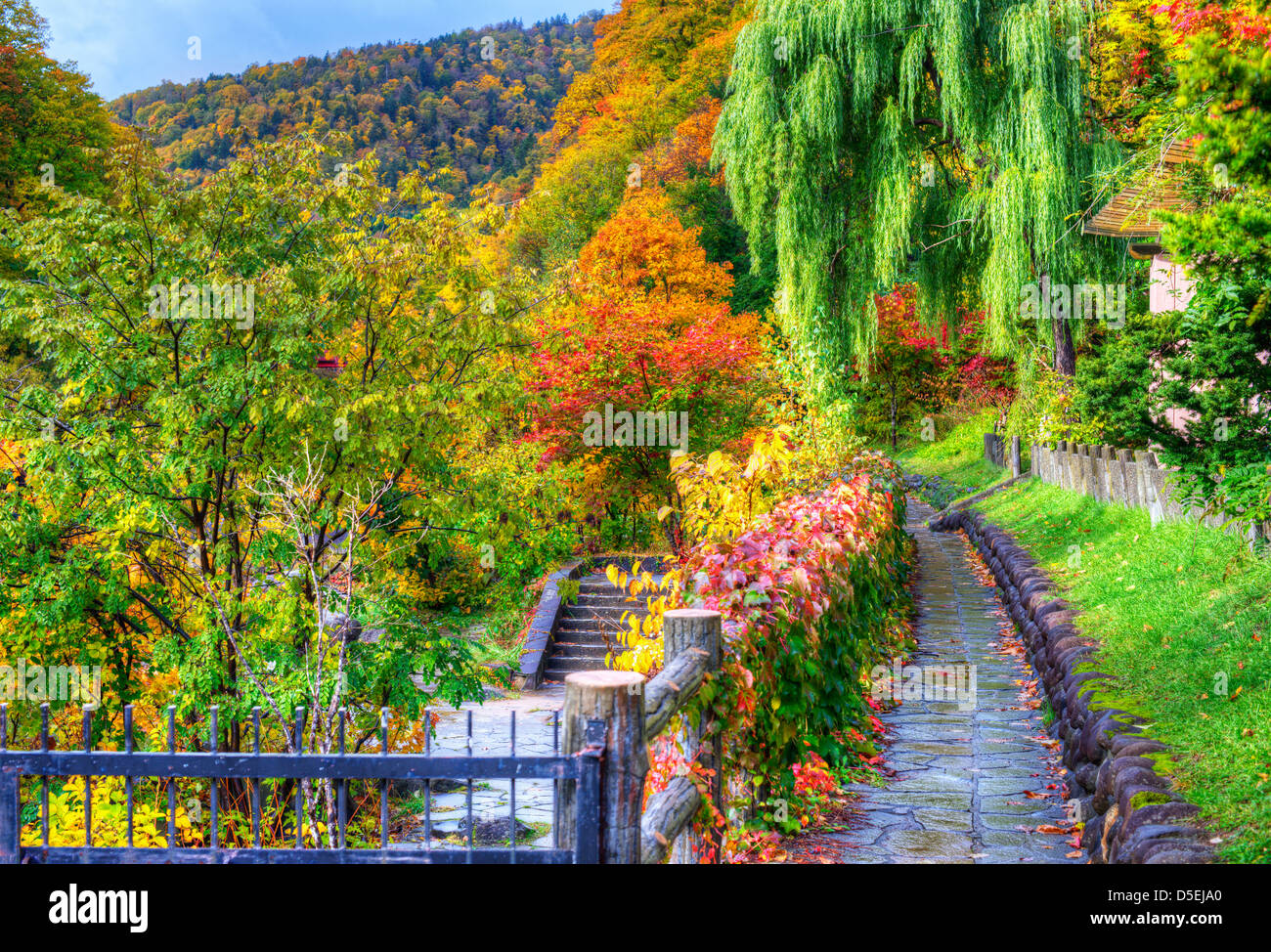 seasonal fall foliage in Jozankei, Japan Stock Photo - Alamy