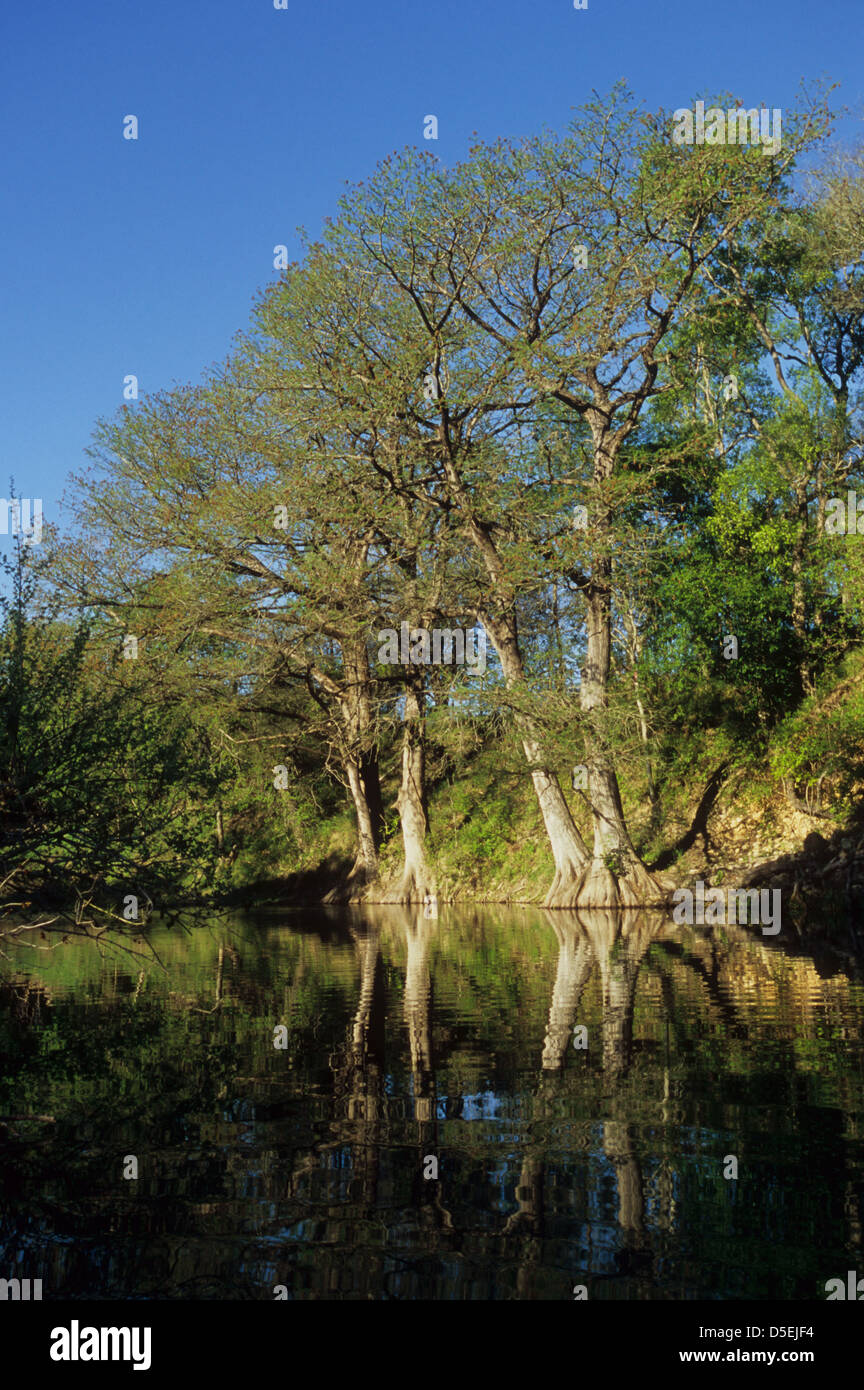 Blanco river hi-res stock photography and images - Alamy