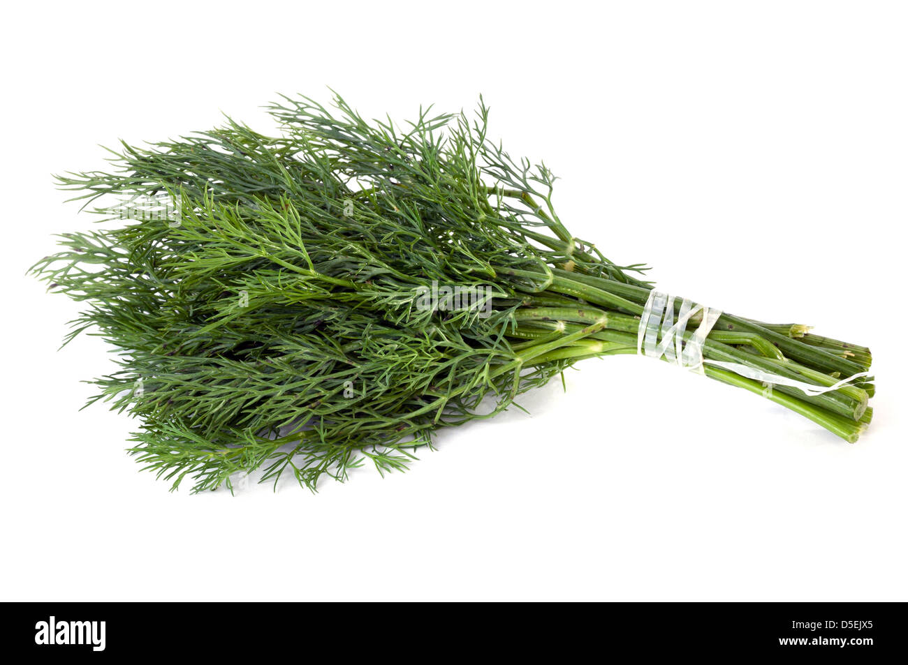 Bunch green dill herb Cut Out Stock Images & Pictures - Alamy