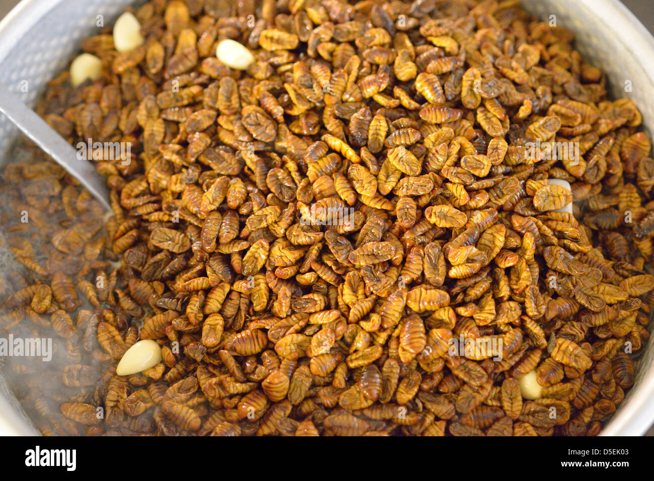 Beondegi, a Korean snack made from pupae of silk worms Stock Photo - Alamy