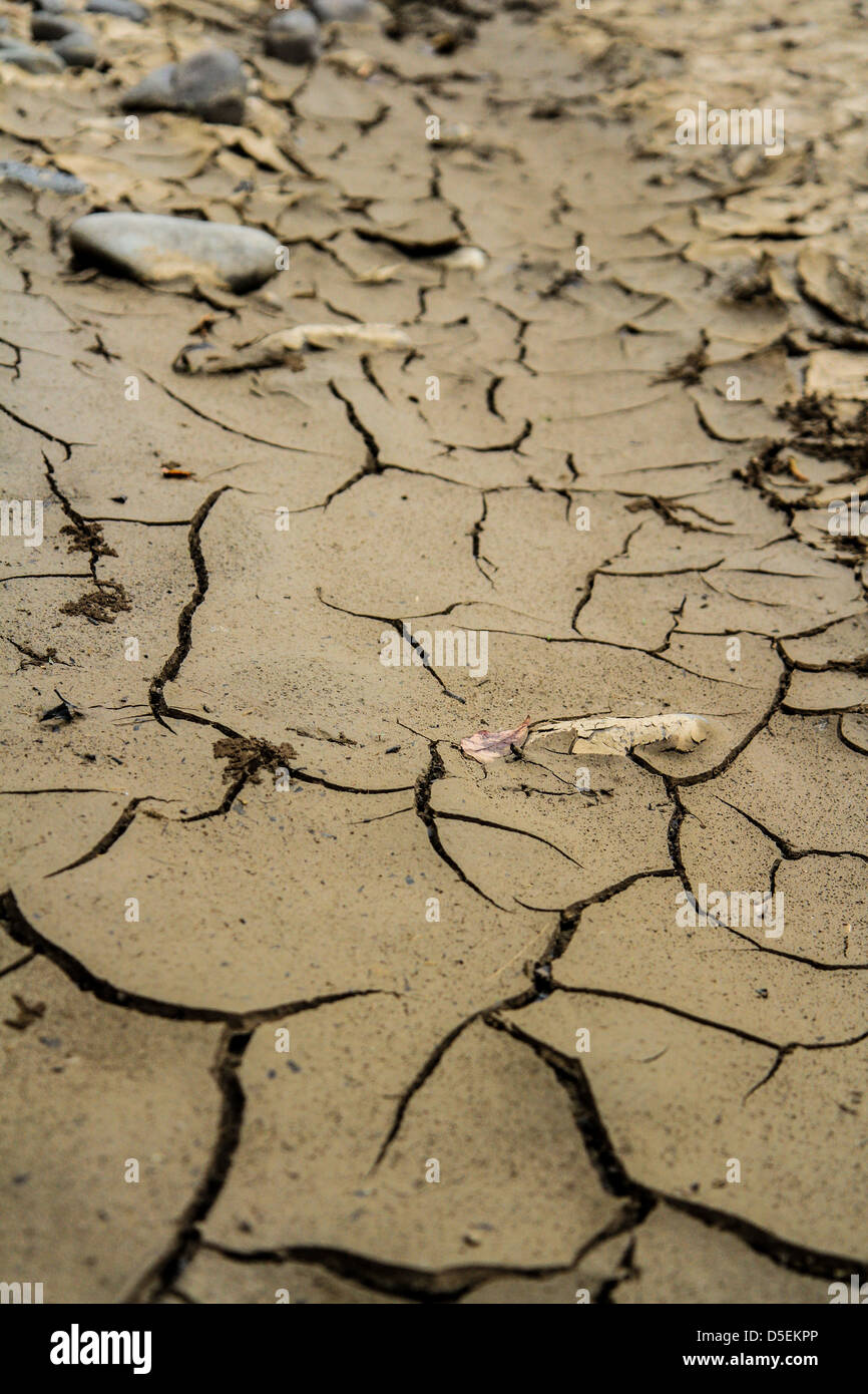 Cracked earth of the Amazon Basin Stock Photo - Alamy