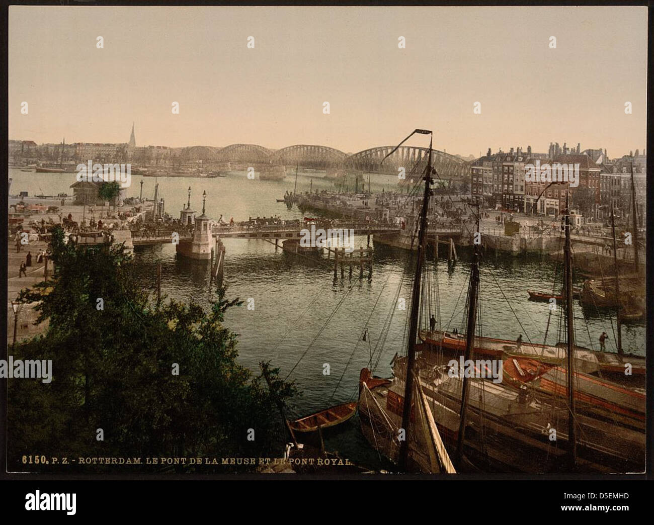 A scenic view of the Royal Bridge across the Maas River in Rotterdam ...