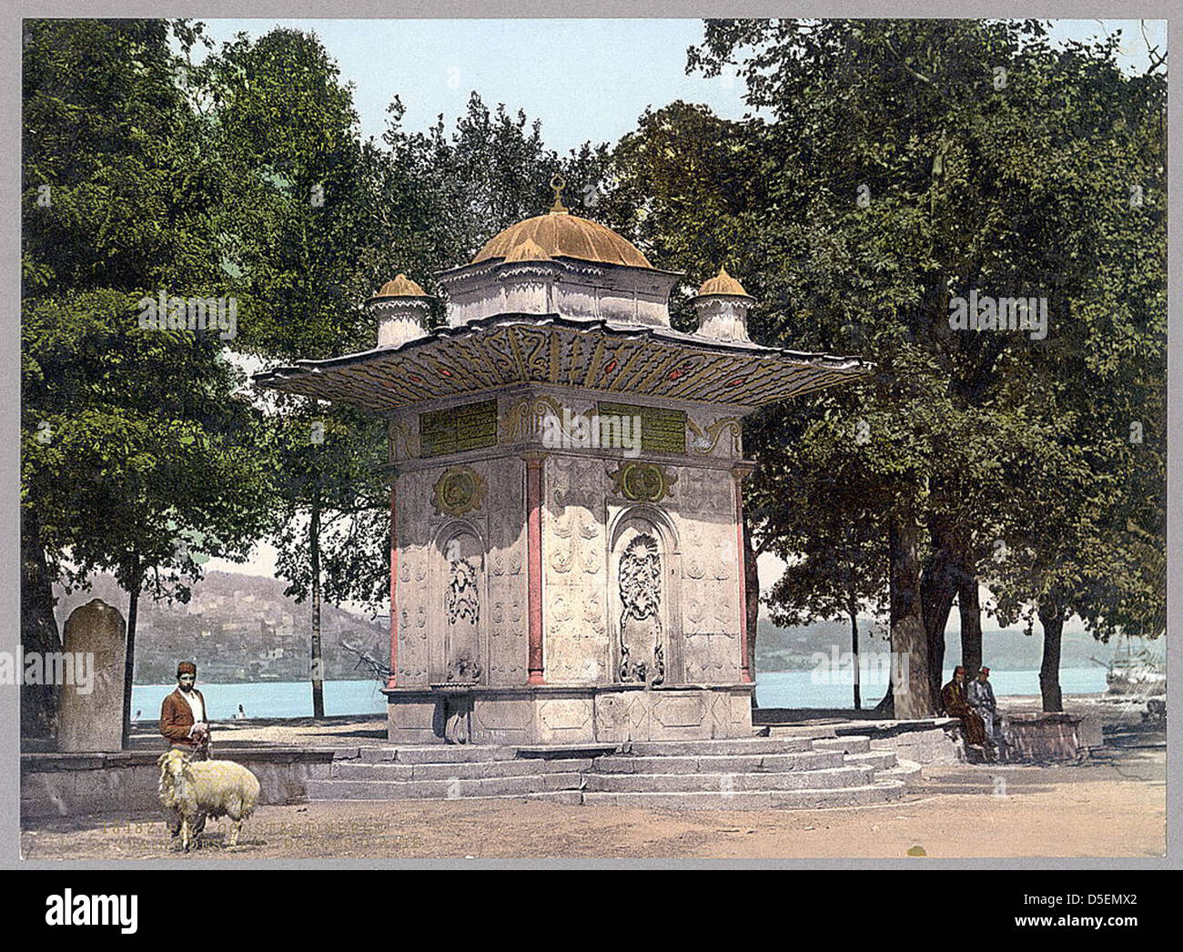 Sheep istanbul turkey hi-res stock photography and images - Alamy