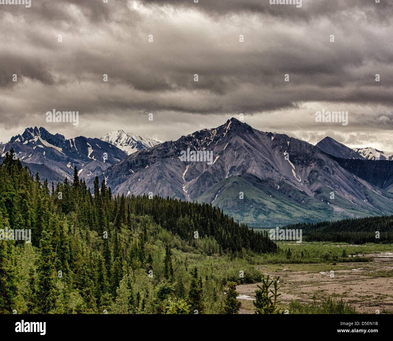 Denali borough alaska hi-res stock photography and images - Alamy