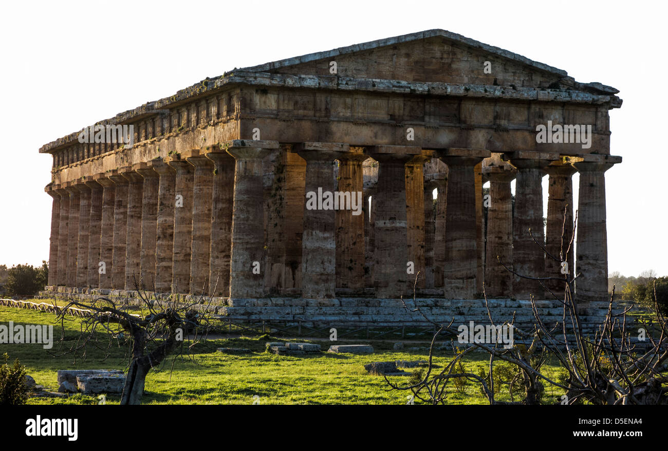 Graeco-Roman temples in Paestum, Campagna, Italy Stock Photo - Alamy