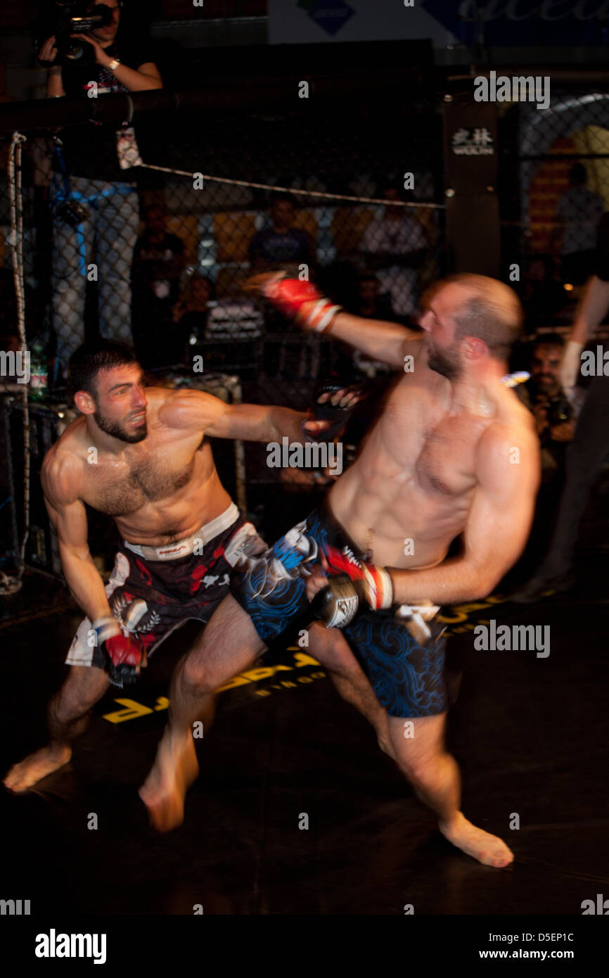 Mma fighting championship 2013 rome hi-res stock photography and images ...
