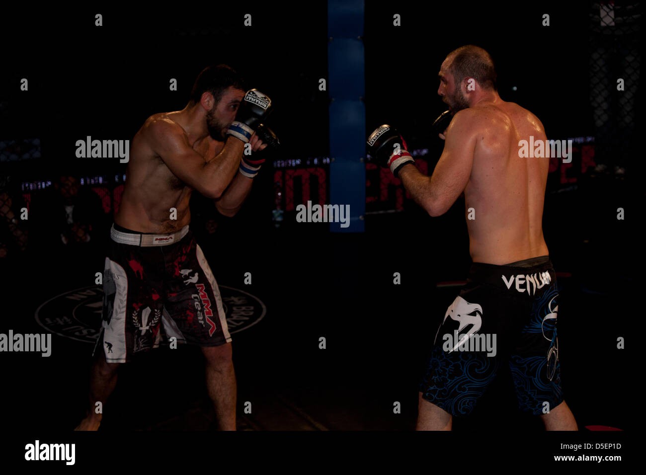 IMPERA MMA Fighting Championship 2013 Rome, Match between Francesco ...