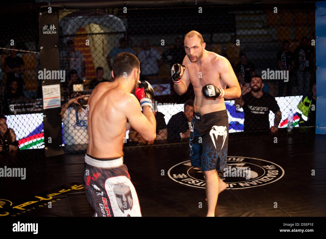 IMPERA MMA Fighting Championship 2013 Rome, Match between Francesco ...