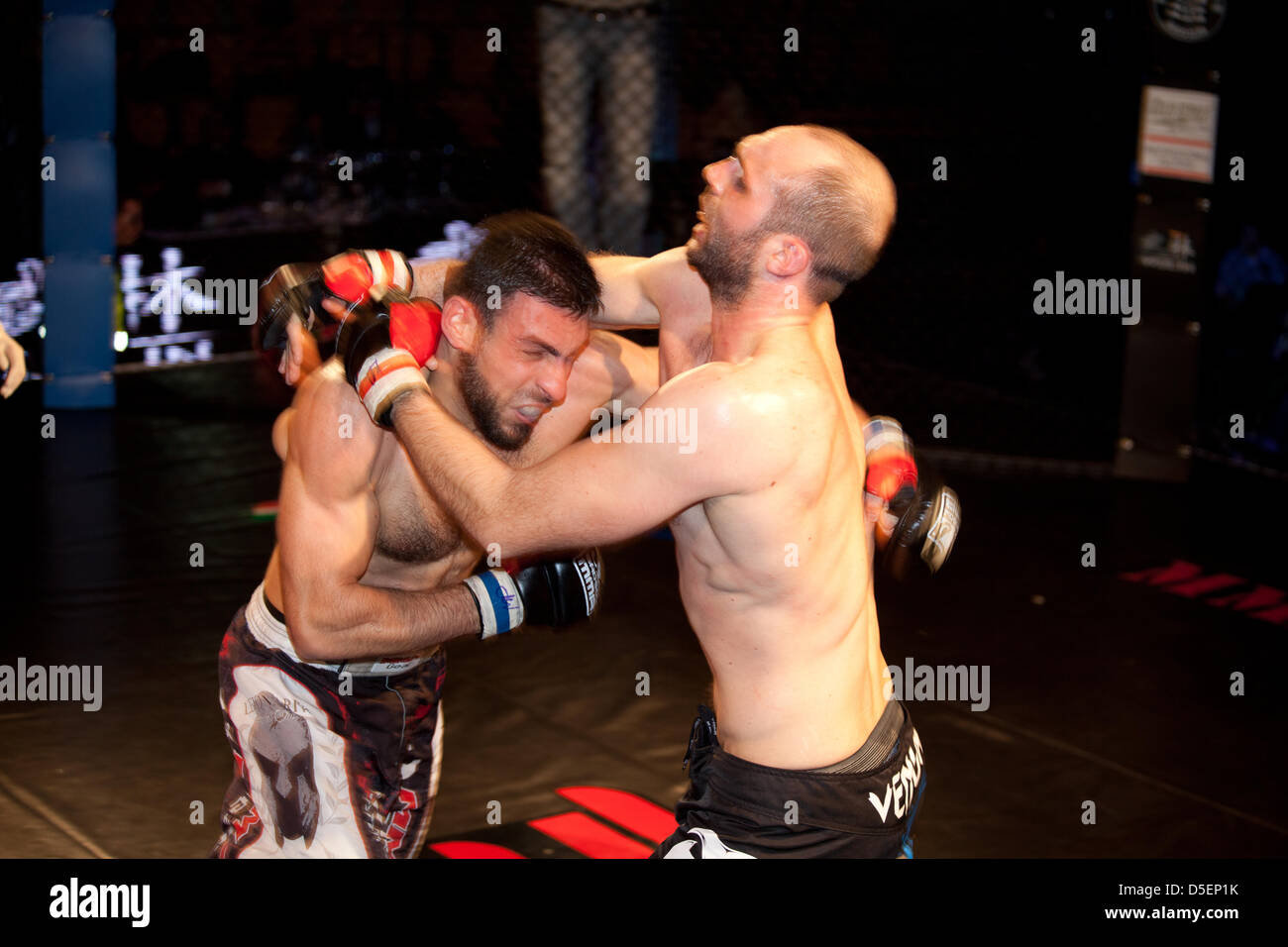 IMPERA MMA Fighting Championship 2013 Rome, Match between Francesco ...