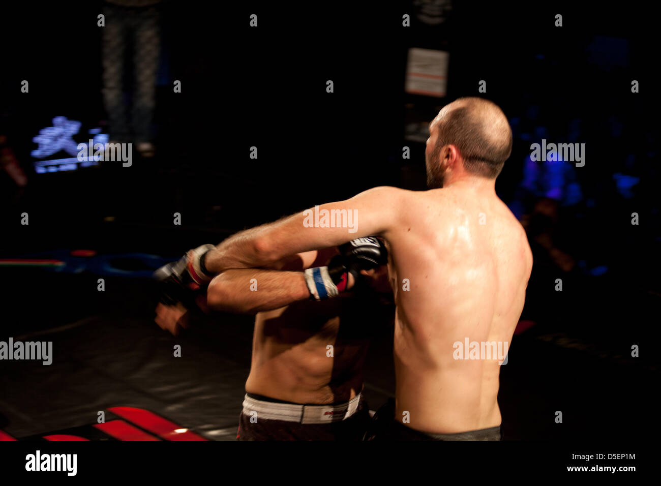 IMPERA MMA Fighting Championship 2013 Rome, Match between Francesco ...