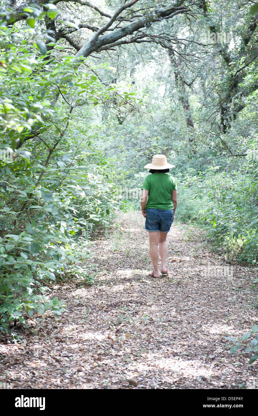 Walking along a leafy country lane hi-res stock photography and images ...