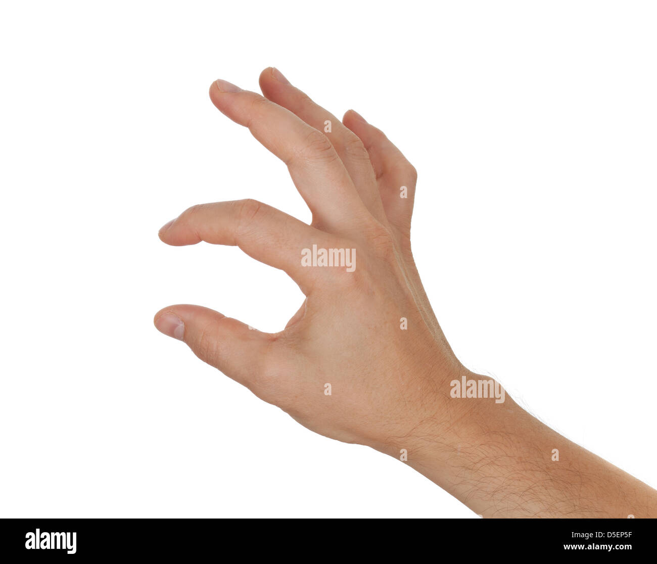 hand holding or showing something Stock Photo - Alamy