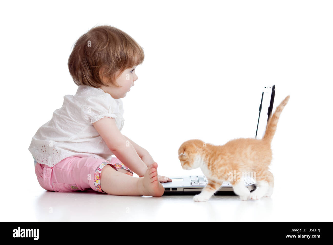 Funny child using a laptop over white background with kitten Stock ...