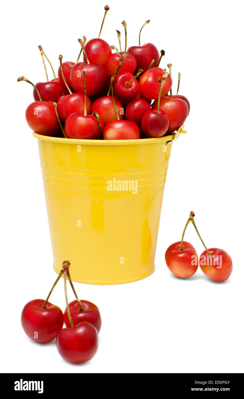 Yellow small bucket filled with cherries over white background Stock ...