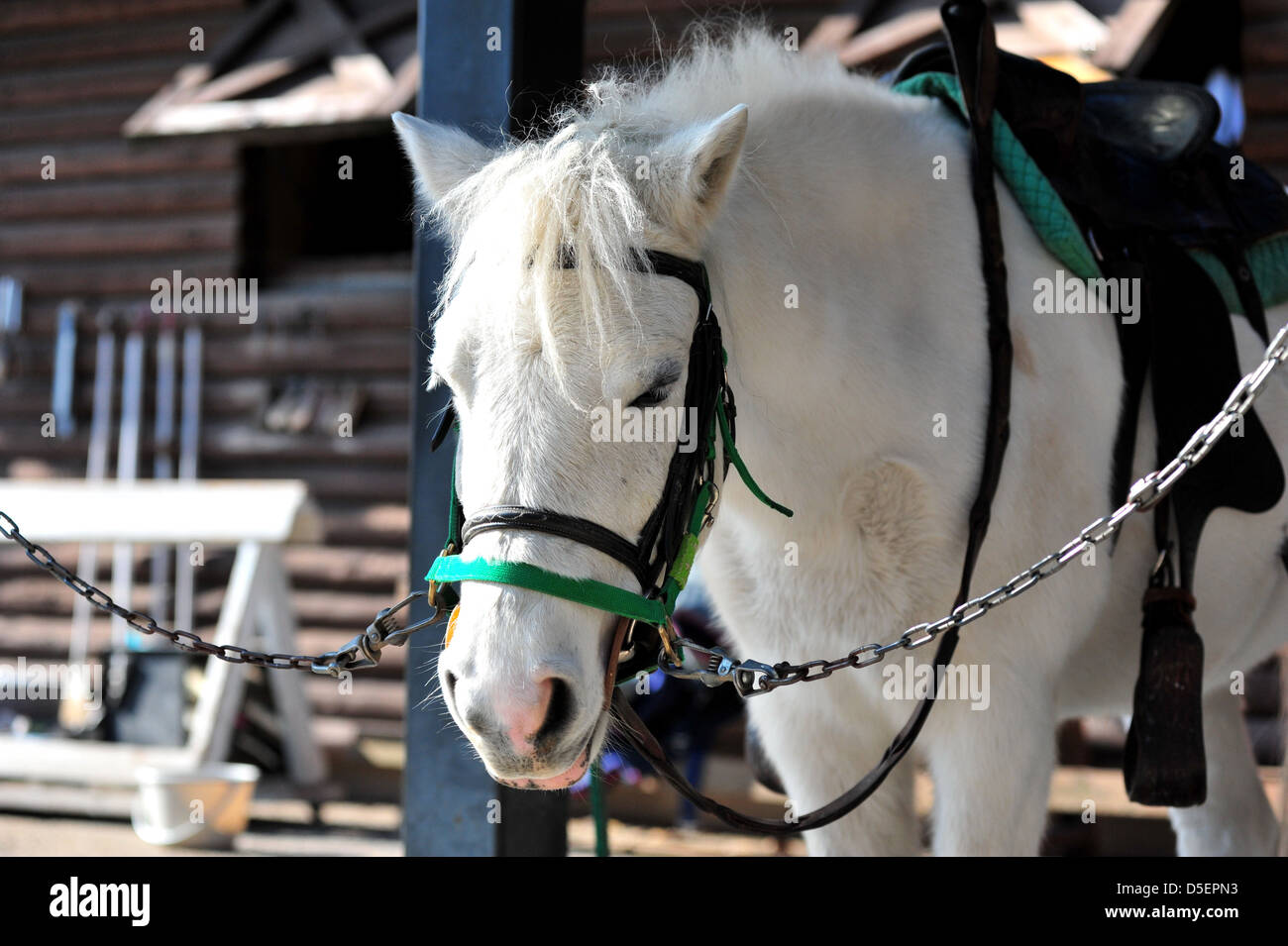 Sagamihara asamizo park hi-res stock photography and images - Alamy
