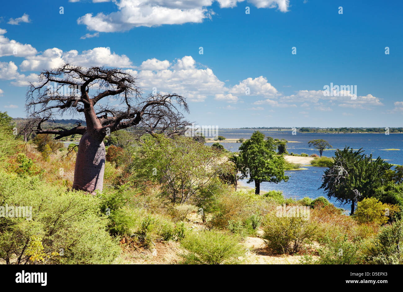 African landscape, Chobe river, Botswana Stock Photo - Alamy