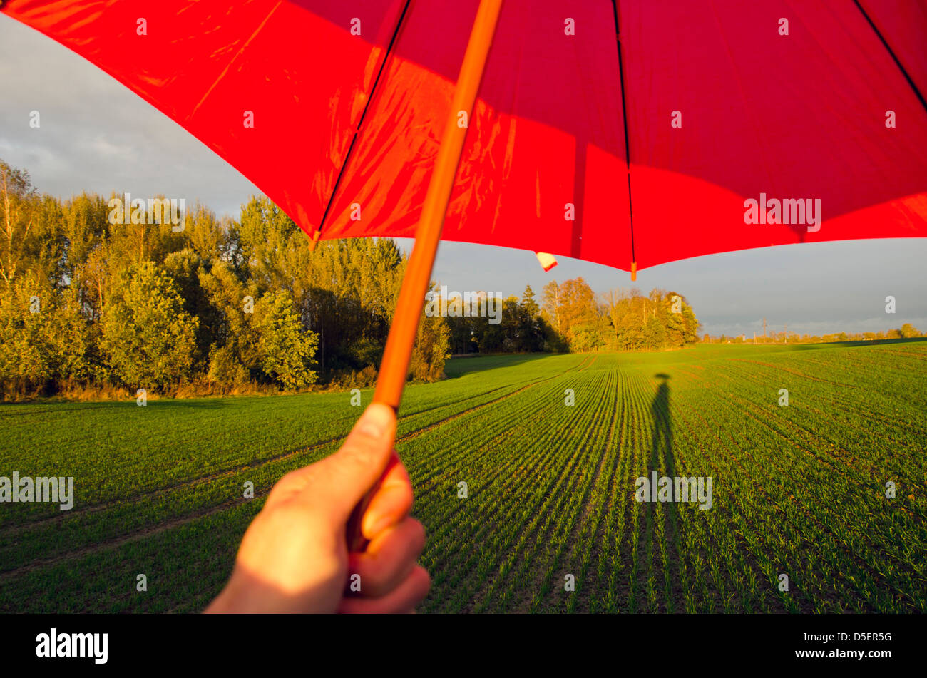 Crop farmland shadow hi-res stock photography and images - Alamy