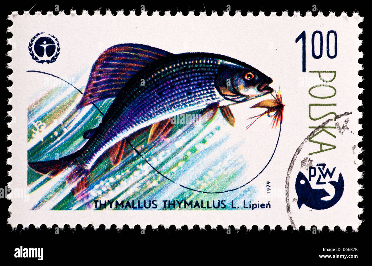 Postage stamp from Poland depicting grayling and a fish fly (Thymallus ...