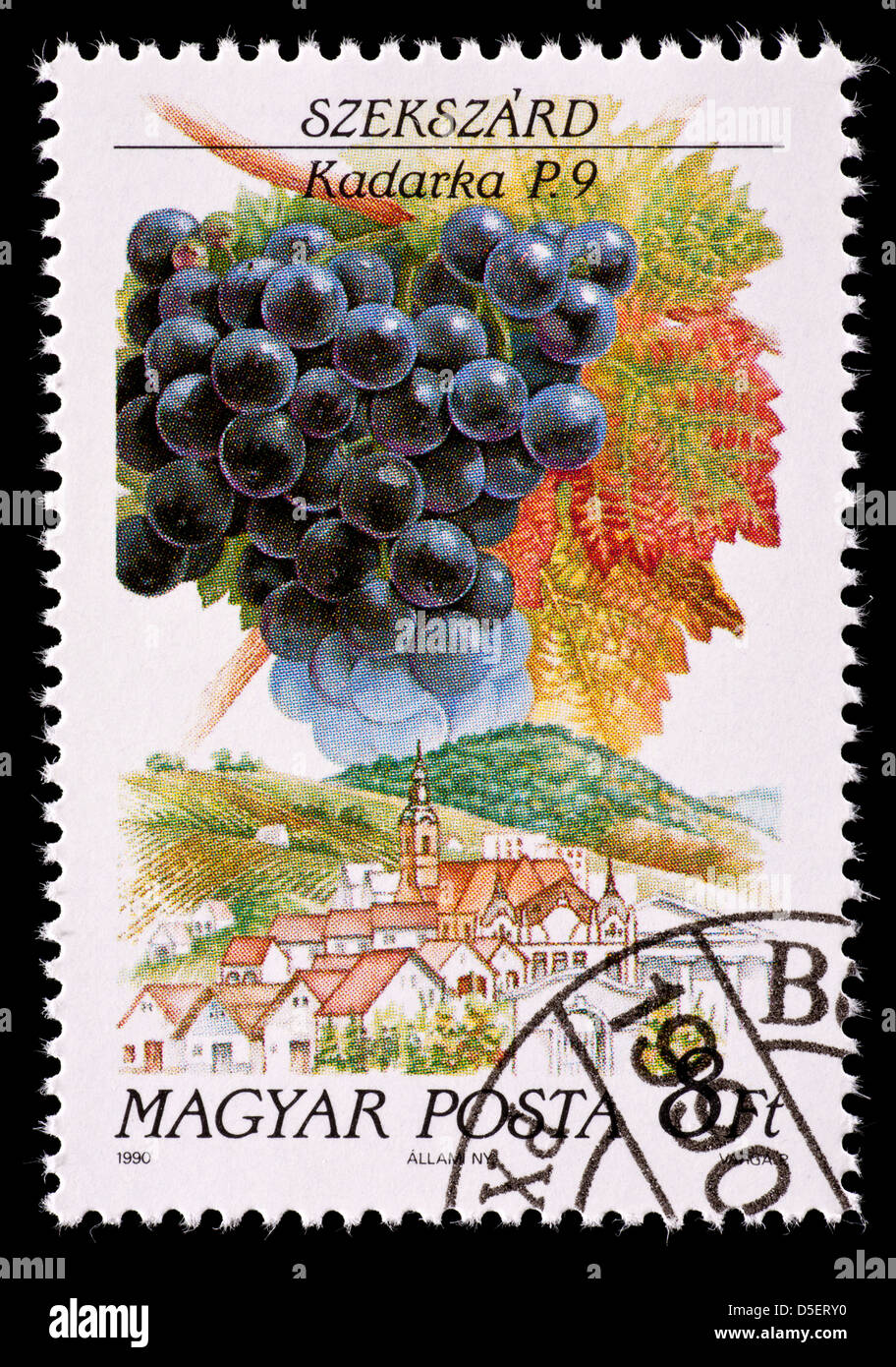 Postage stamp from Hungary depicting Kadarka grapes from the Szekszard ...