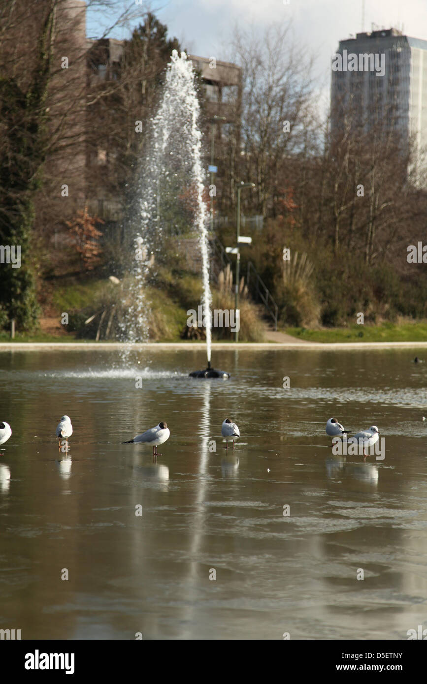 Eastrop park basingstoke hi-res stock photography and images - Alamy