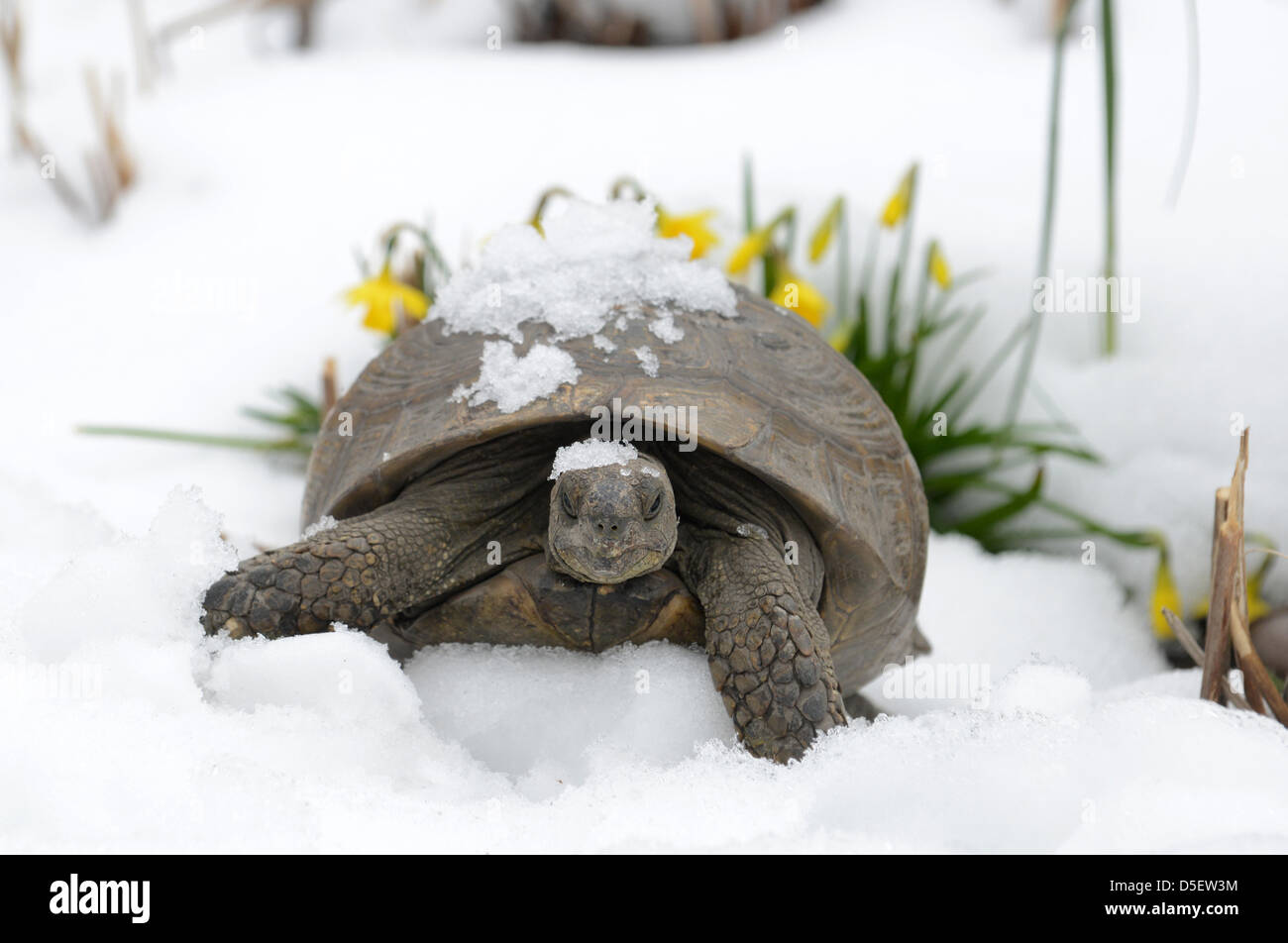 6 inches of snow hi-res stock photography and images - Alamy