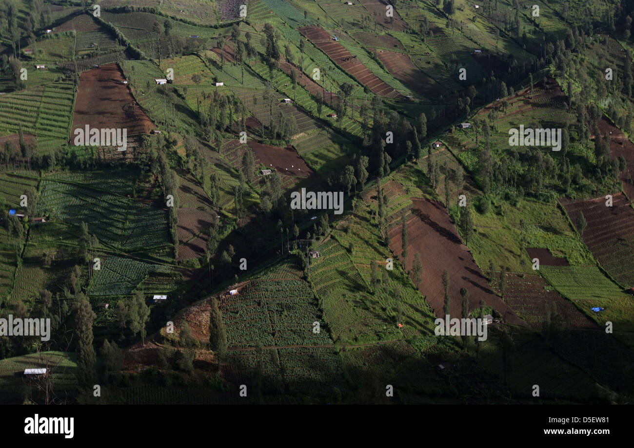 Java tribe hi-res stock photography and images - Alamy