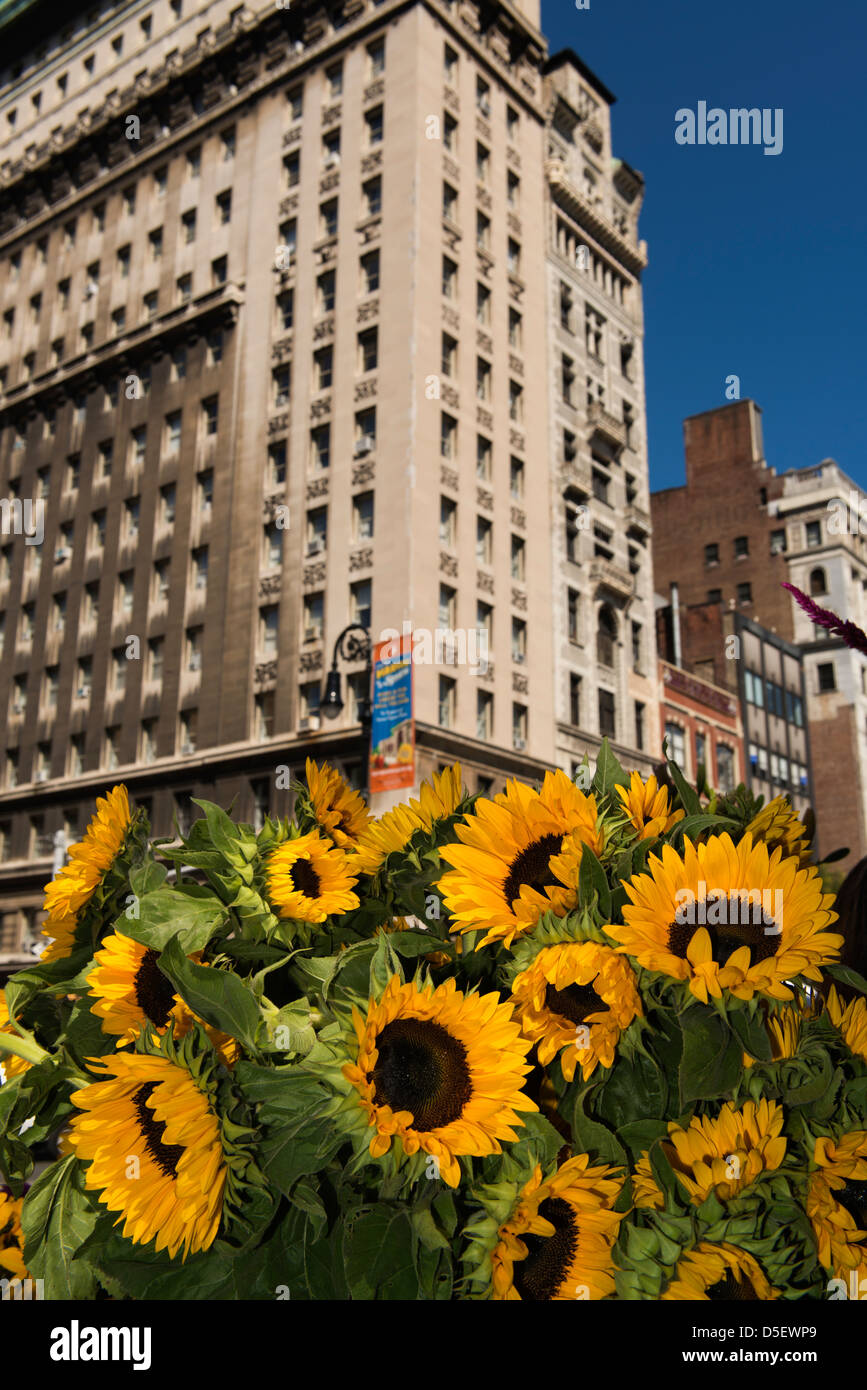 Market square flower flowers hi-res stock photography and images - Alamy
