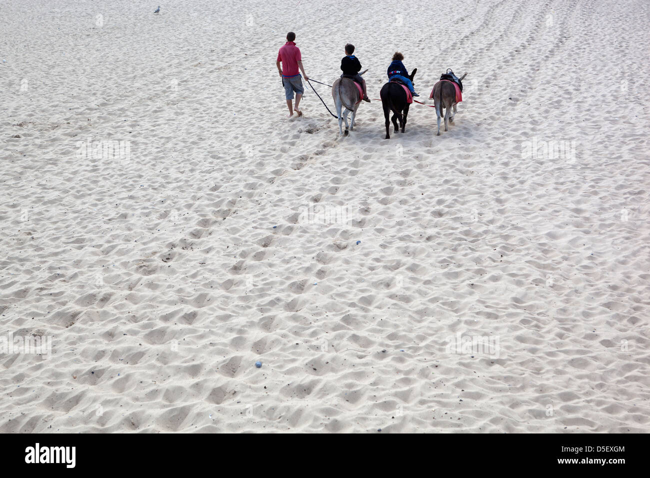 Donkey Ride Beach High Resolution Stock Photography and Images - Alamy