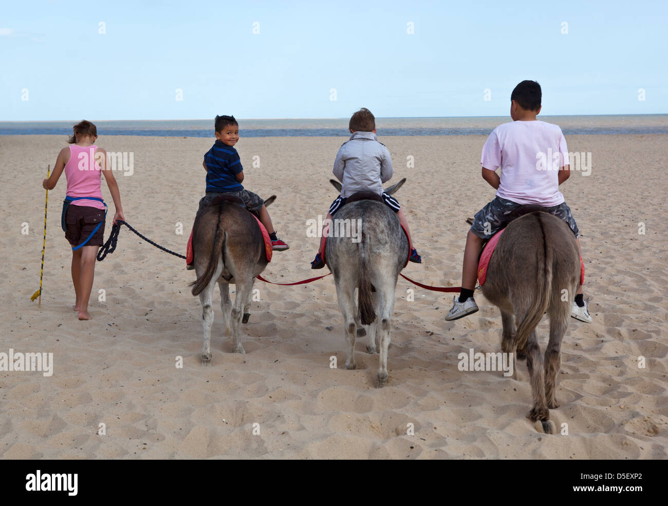 Donkey ride beach hi-res stock photography and images - Alamy