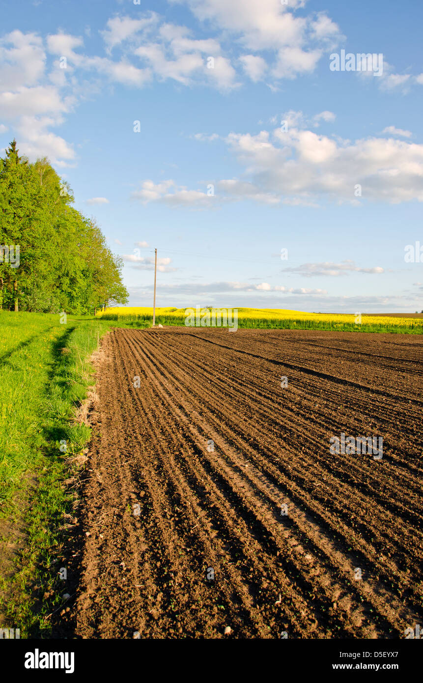 Plowed tillage hi-res stock photography and images - Alamy