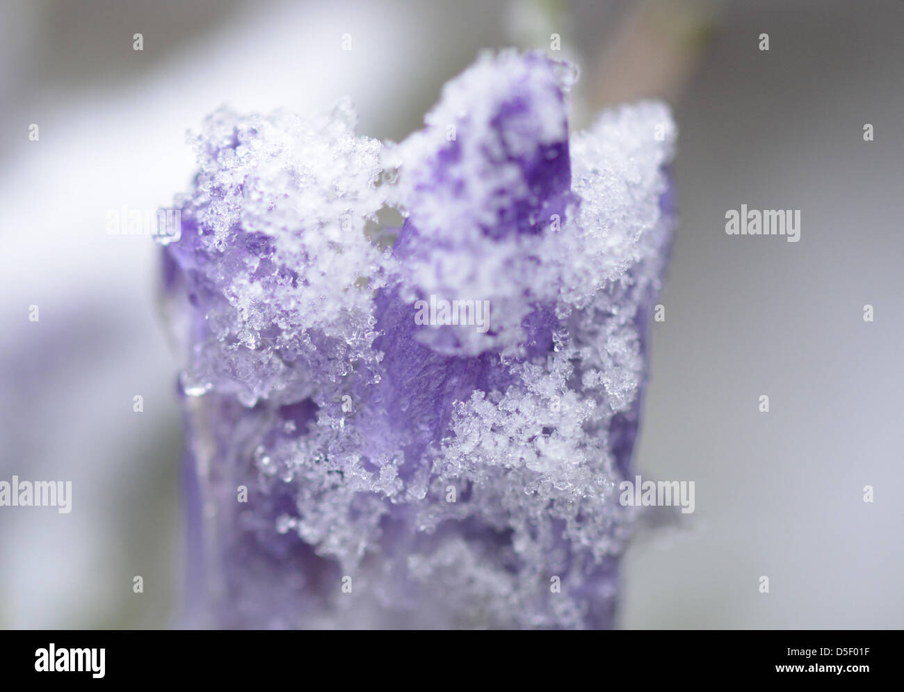 Buchenbach hi-res stock photography and images - Alamy