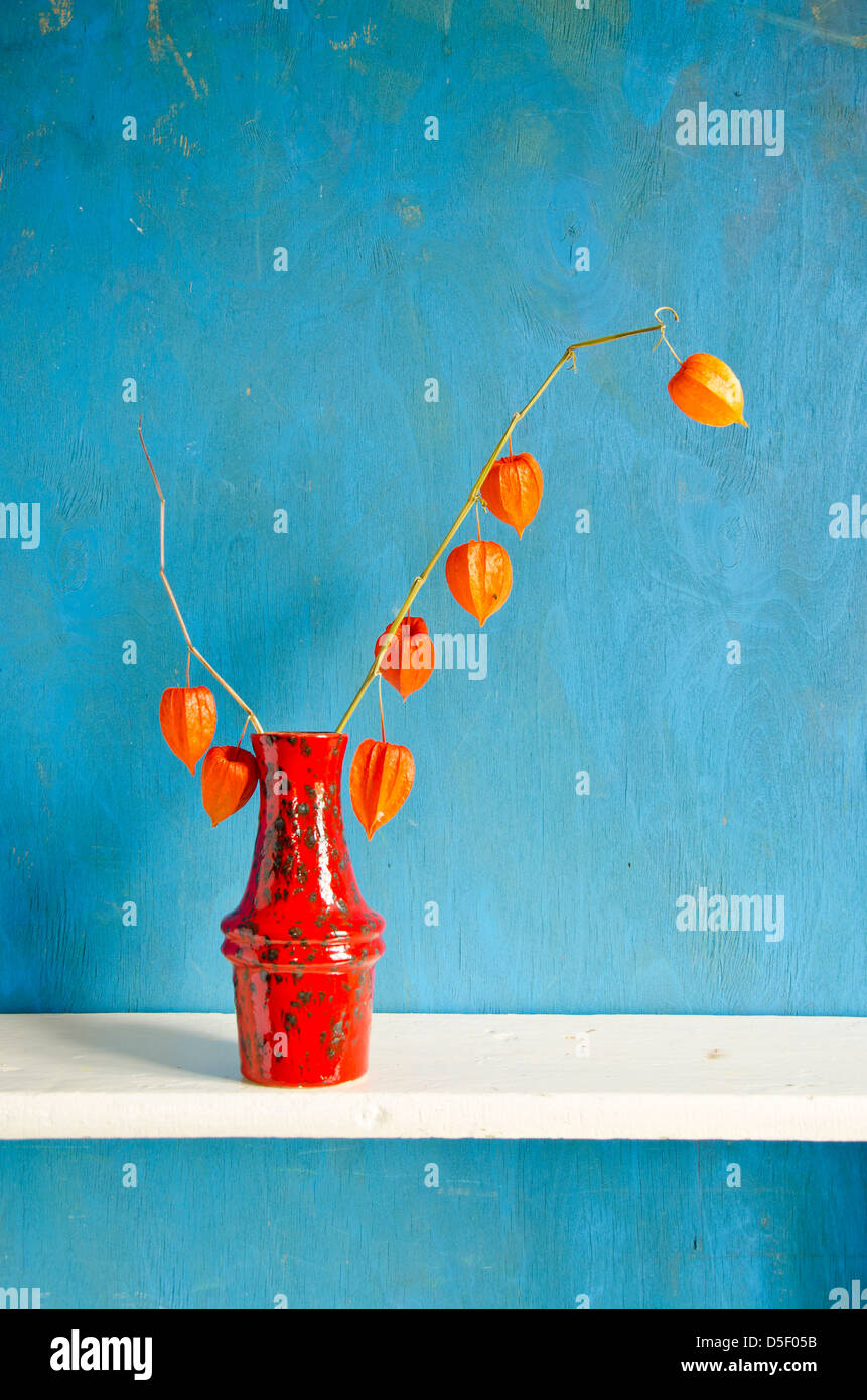 red ceramic vase with dry husk tomato on blue background Stock Photo ...