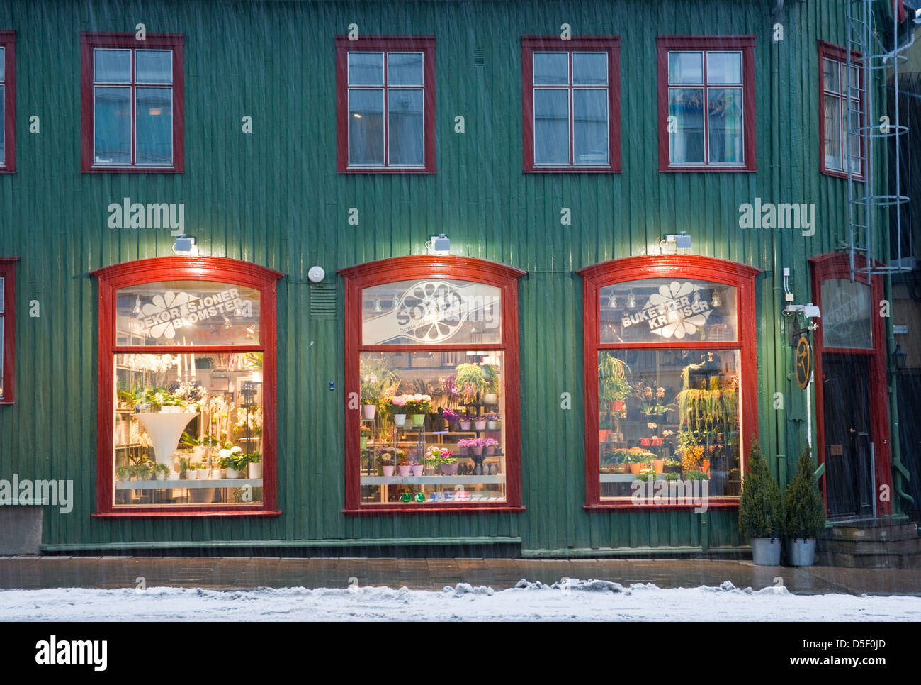 Brightly lit shop hi-res stock photography and images - Alamy