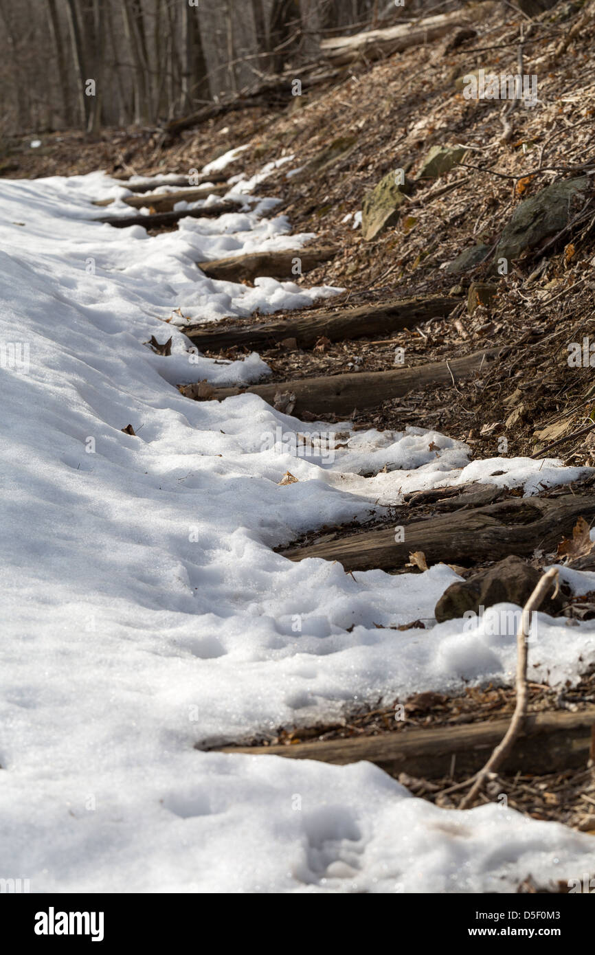 Log trail steps hi-res stock photography and images - Alamy