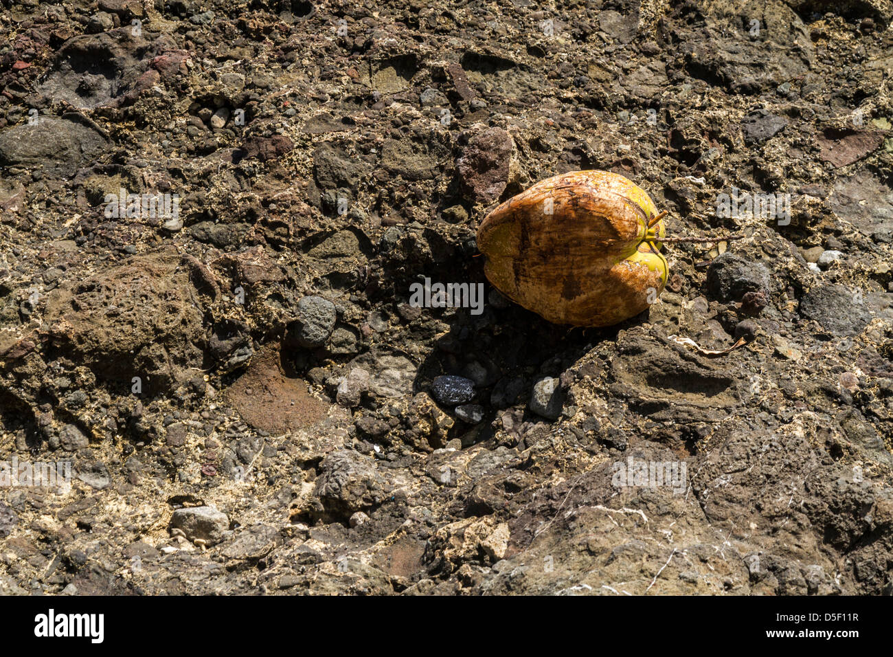 Coconut rocks hi-res stock photography and images - Alamy