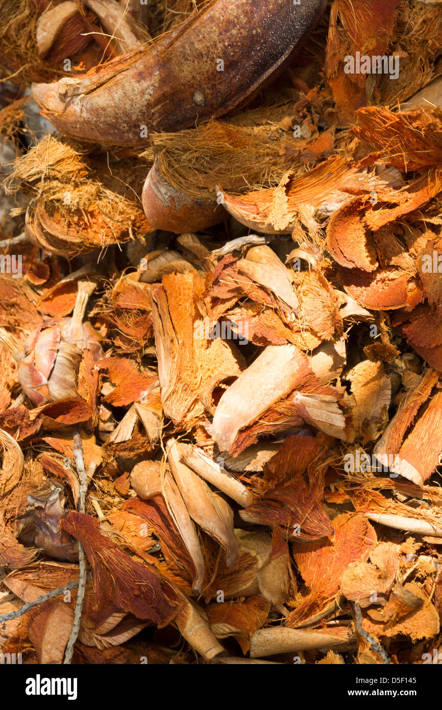 Coconut shells hi-res stock photography and images - Alamy