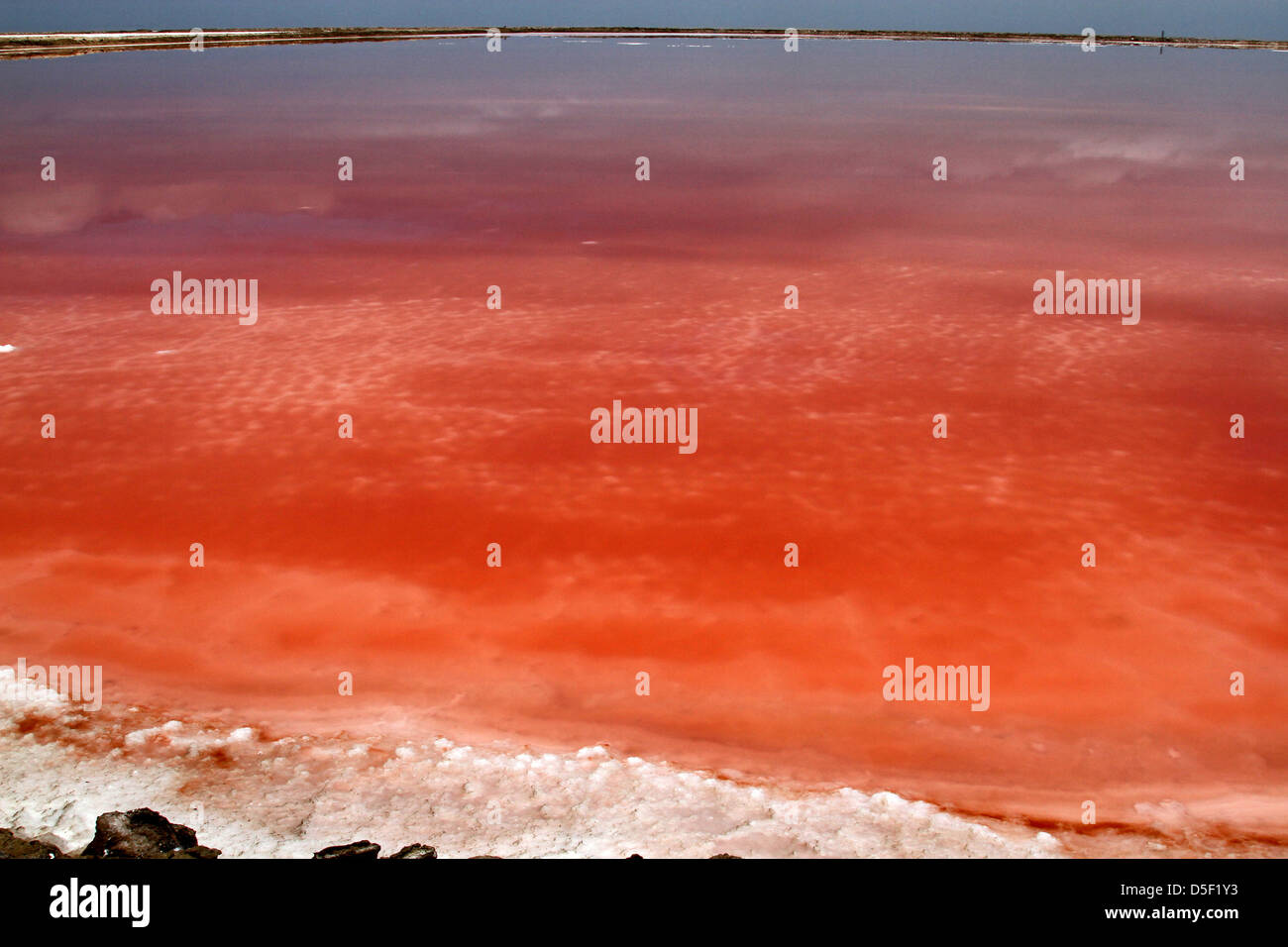 Namibian salt hi-res stock photography and images - Alamy