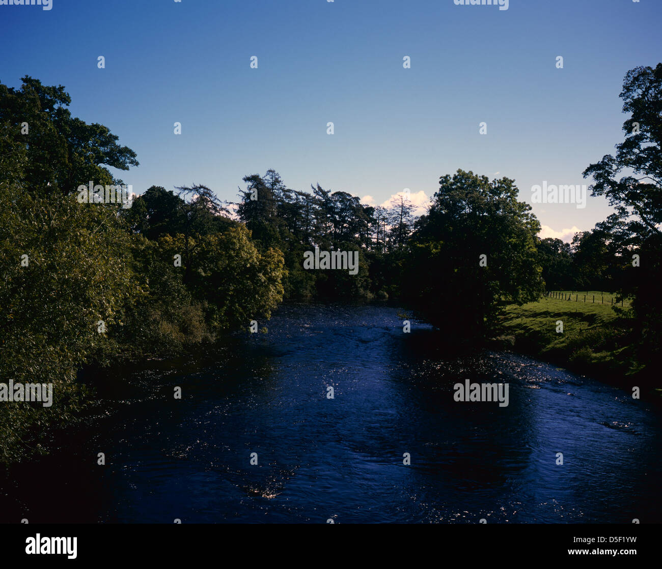 The River Ure flowing through the lower part of Wensleydale near to ...