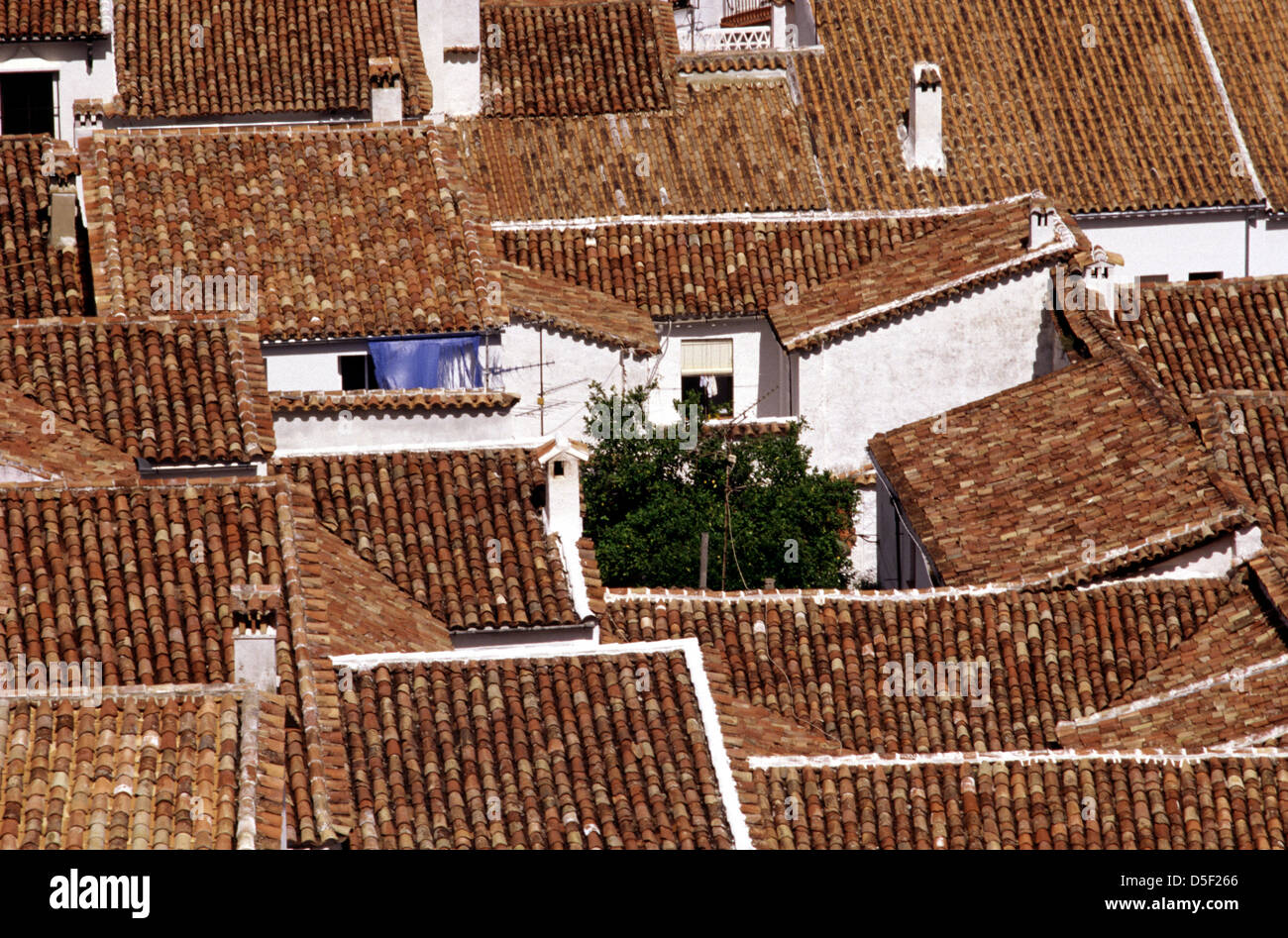 Typical whitewashed village with barrel roof tiles in the Pueblos ...