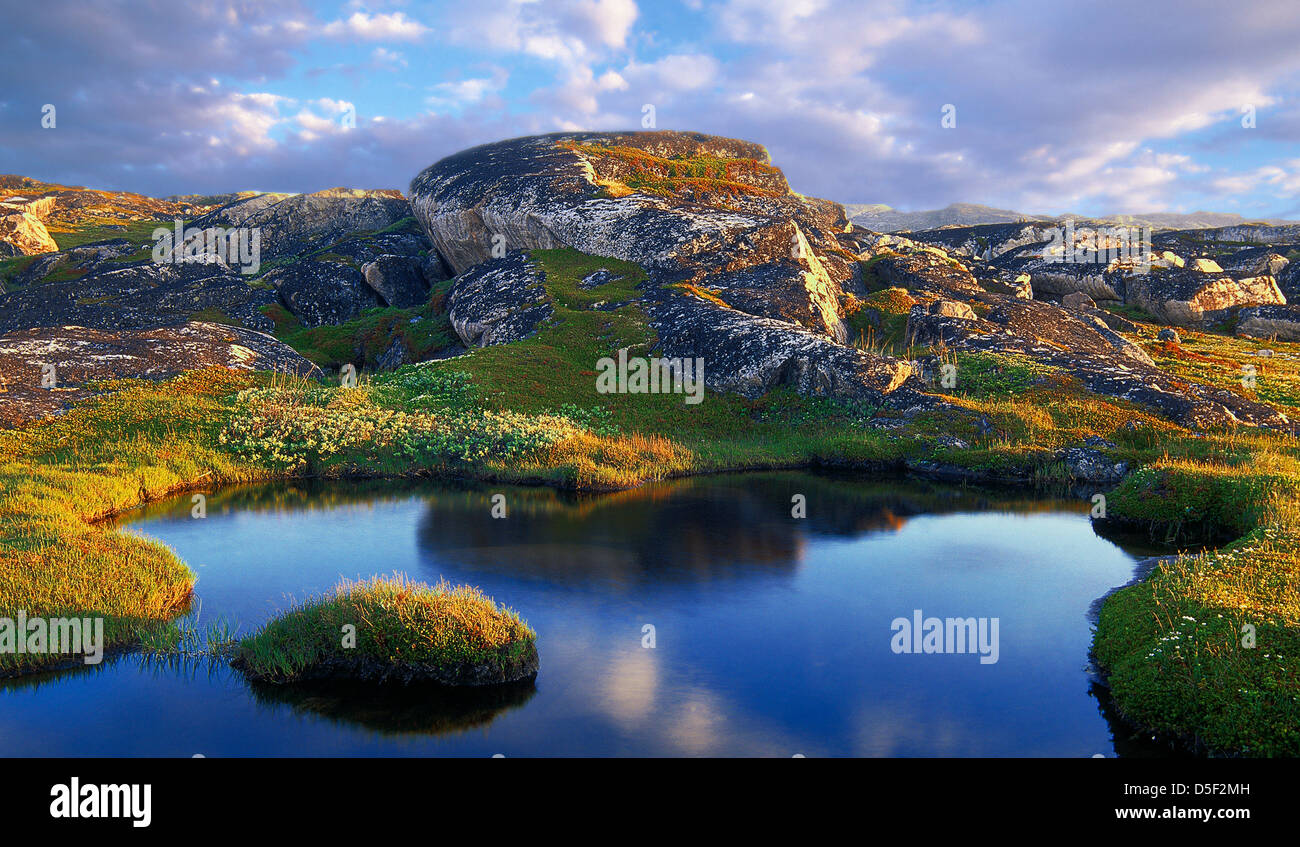 North summer landscape with lake, rocks and reflection Stock Photo - Alamy