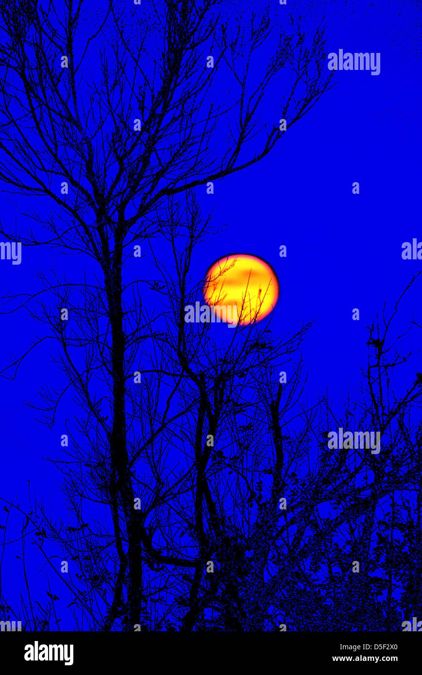 Sol morado hi-res stock photography and images - Alamy