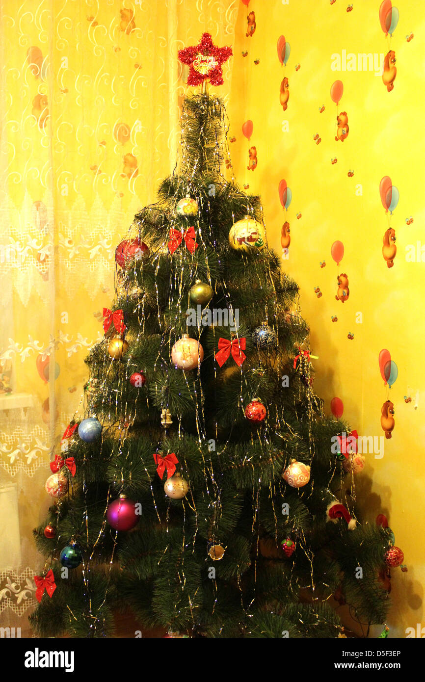 Fur tree hi-res stock photography and images - Alamy