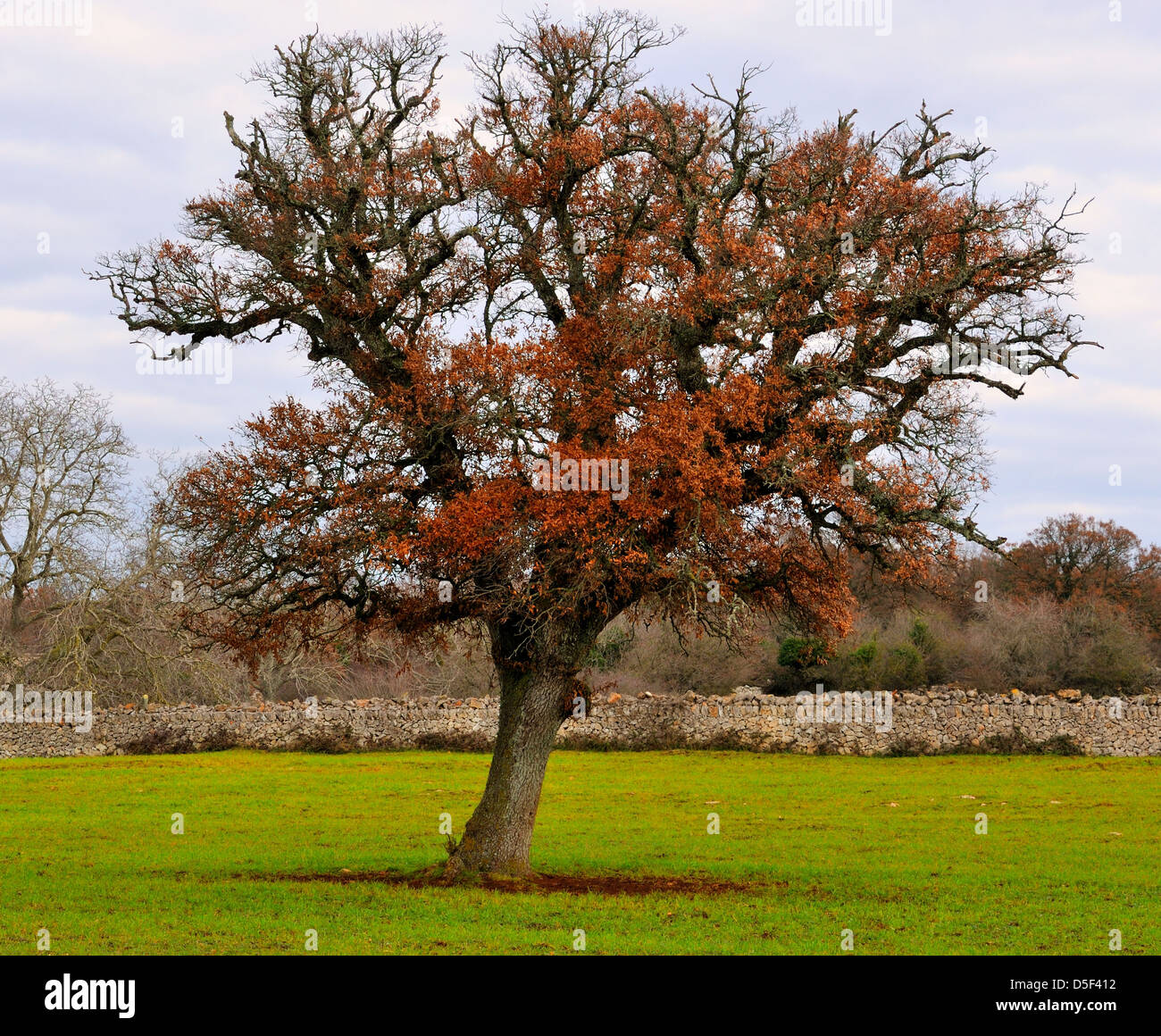 Sprinkle weather hi-res stock photography and images - Alamy