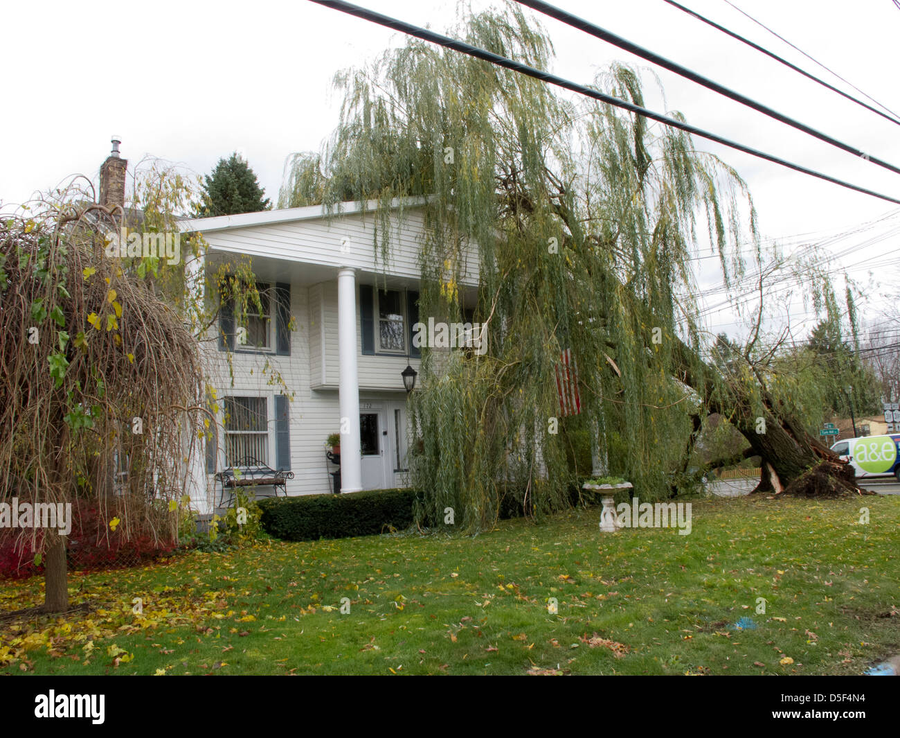 Uprooted tree tornado hi-res stock photography and images - Alamy