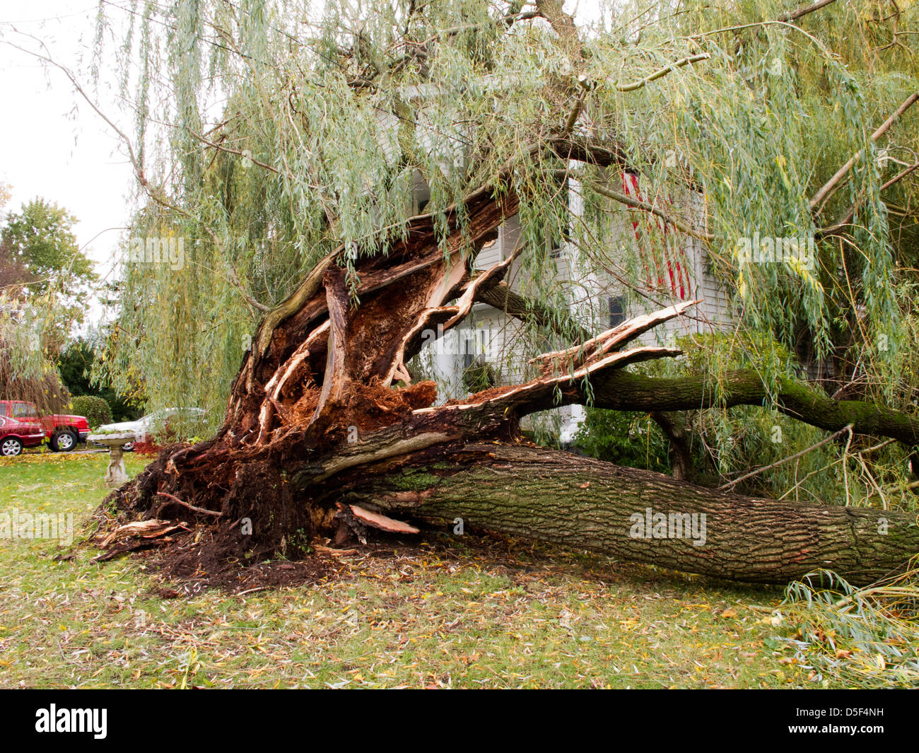 Wind damaged tree and house Stock Photo - Alamy