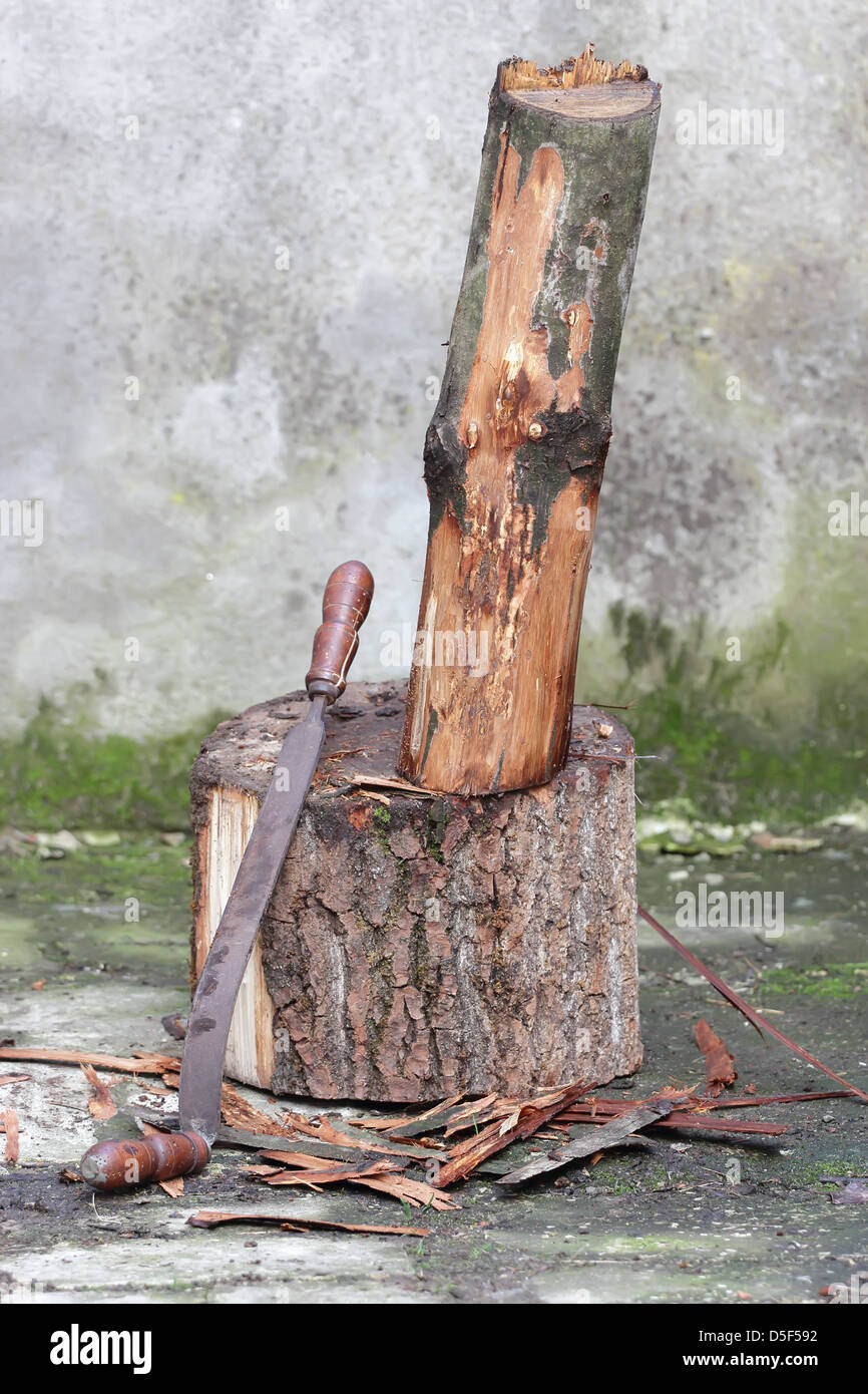 chestnut log during peeling off process Stock Photo - Alamy
