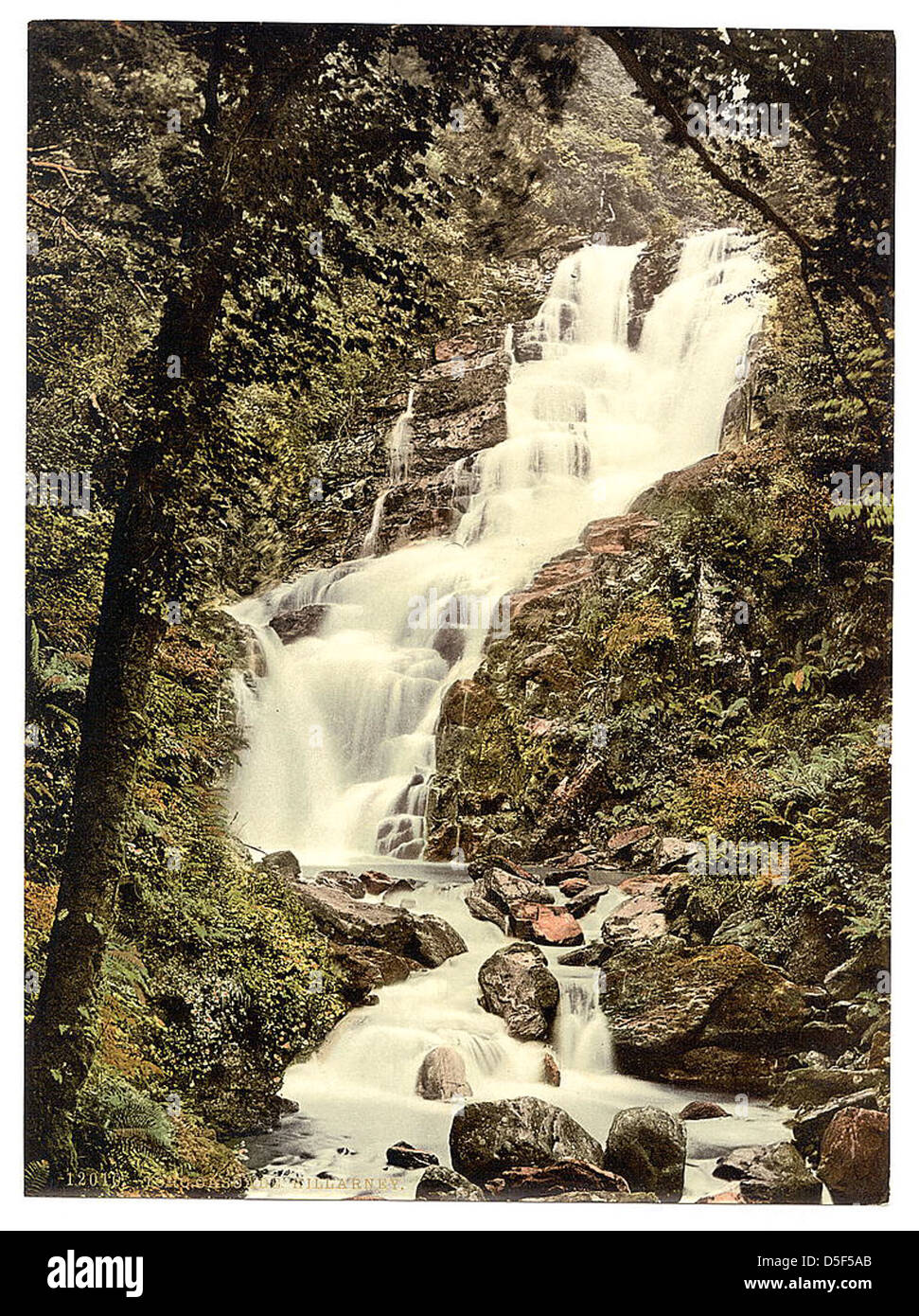 A scenic photograph of the Torc Cascade, a waterfall located in County ...