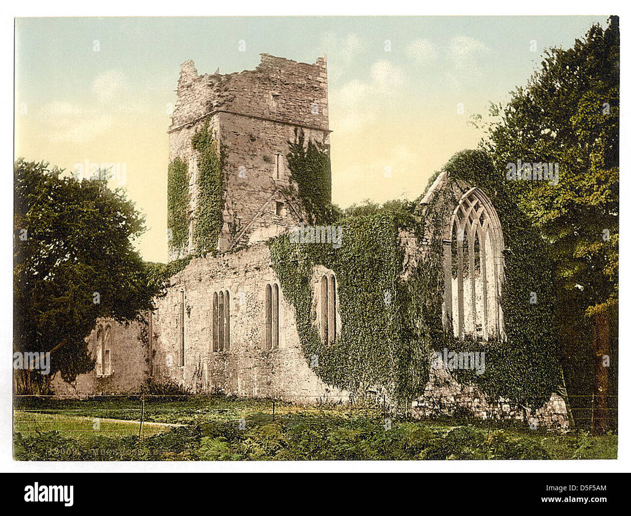 Old abbey library hi-res stock photography and images - Alamy